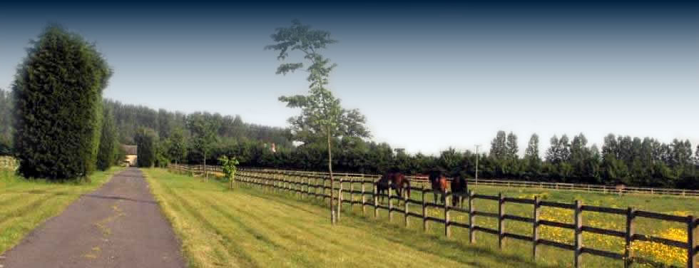 Latest News - Stratton Stud